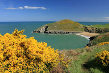 Explore the Coast & Countryside of Cardigan Bay - Cardigan Bay