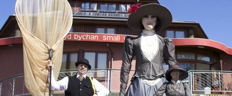 Whats On Festivals and Events Cardigan Bay 27th December 2025